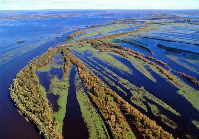 ТОП 10 самых крупных рек России названия фото